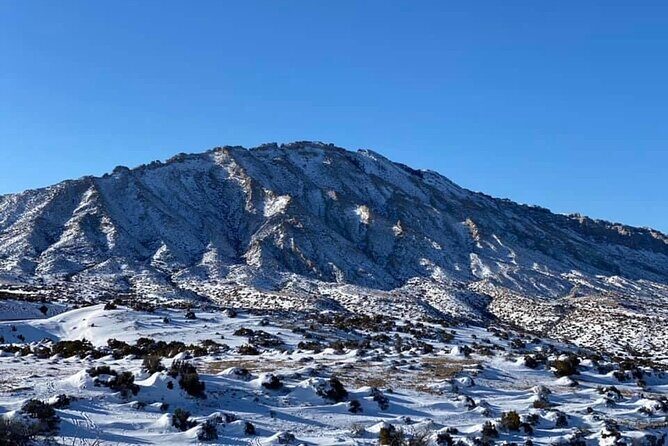 VIP Private North Yellowstone National Park Winter Excursion - Authentic Insights from Travelers