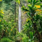 VIP Private Road to Hana and Haleakala Sunset Tour - The Experience: What to Expect