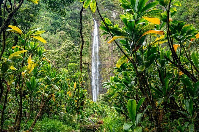VIP Private Road to Hana and Haleakala Sunset Tour - The Experience: What to Expect