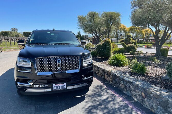 VIP SUV-LUX Wine Tour for 8 hr up to 6 People - Value and Cost Analysis