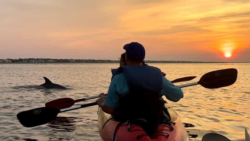 Virginia Beach: Dolphin Kayak Tour: This is a Workout! - Value and Pricing