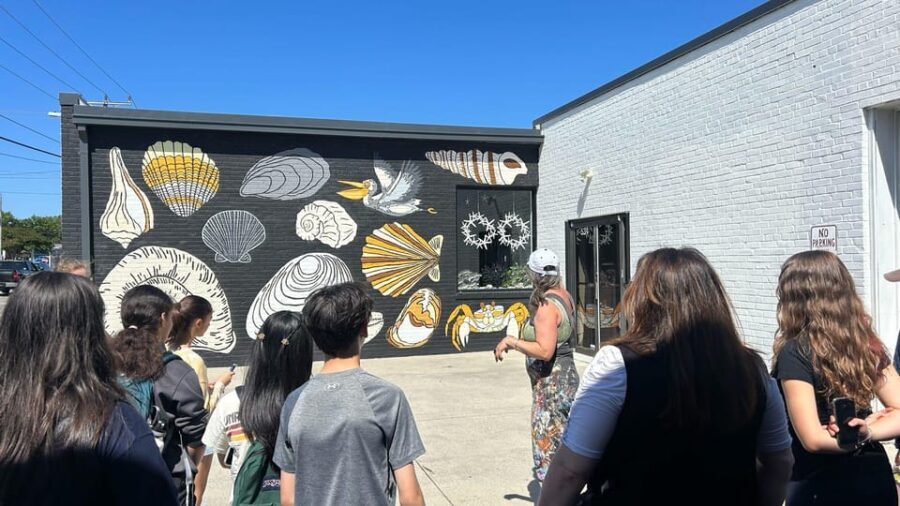 Virginia Beach: ViBe District Guided Walking Mural Tour - What To Expect During the Tour
