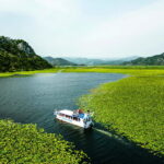 Virpazar: Guided Lake Skadar Cruise and Crnojevia River - What to Expect and Why It Matters