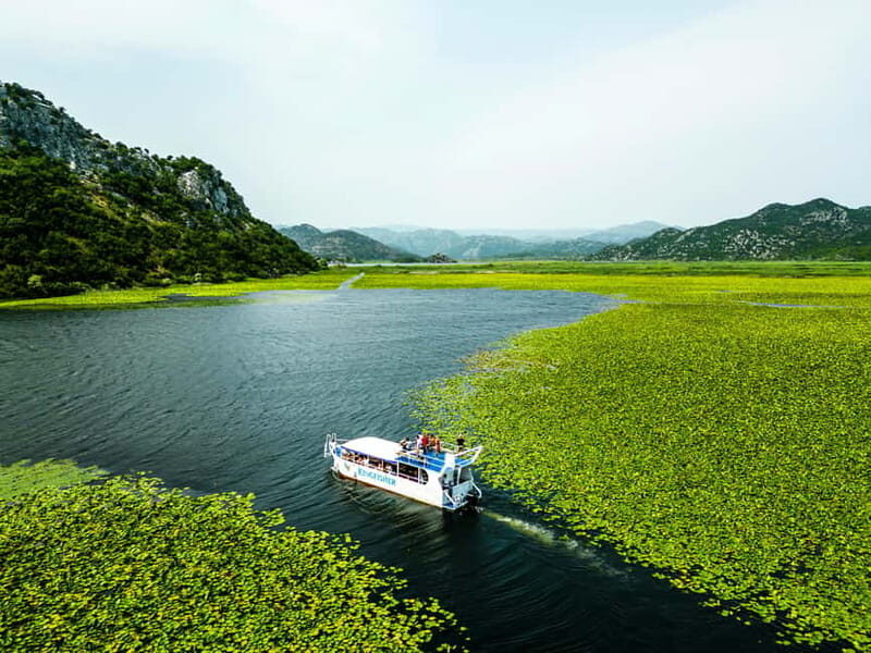 Virpazar: Guided Lake Skadar Cruise and Crnojevia River - What to Expect and Why It Matters