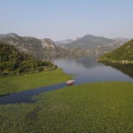 Virpazar: Skadar Lake National Park Guided Boat Tour - The Itinerary: What’s on the Water