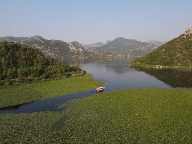 Virpazar: Skadar Lake National Park Guided Boat Tour - The Itinerary: What’s on the Water