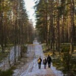 Visaginas: Wild Nature Hiking at Grauts Regional Park - The Value of the Experience