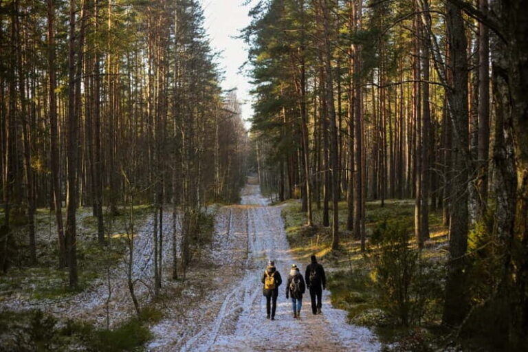 Visaginas: Wild Nature Hiking at Grauts Regional Park - The Value of the Experience