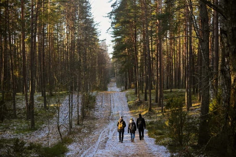 Visaginas: Wild Nature Hiking at Grauts Regional Park - The Value of the Experience