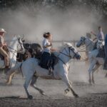 Visit and Discovery in the Heart of the Camargue - Who Will Love This Tour?