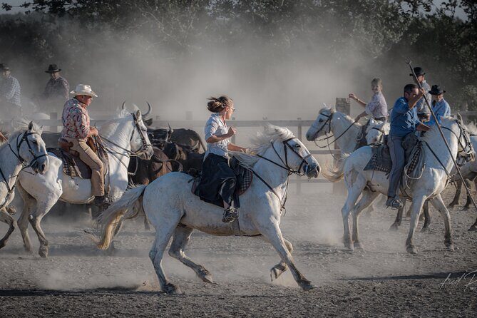 Visit and Discovery in the Heart of the Camargue - Who Will Love This Tour?
