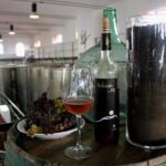 Visit Bodegas Teneguía winery in La Palma with wine Tasting - The Full Scoop on the Bodegas Teneguía Tour
