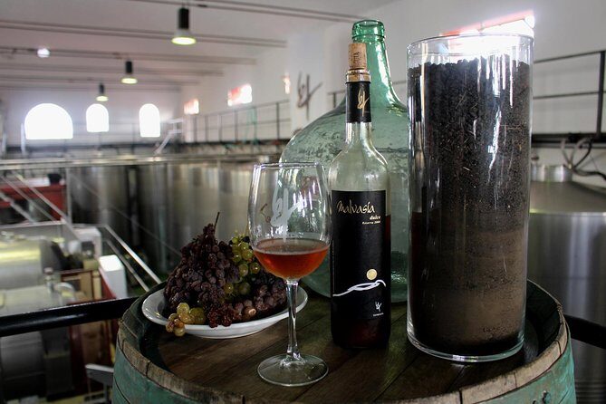 Visit Bodegas Teneguía winery in La Palma with wine Tasting - The Full Scoop on the Bodegas Teneguía Tour