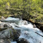 Visit Bubbelen, river comes out of the ground. - The Easy, Family-Friendly Walk