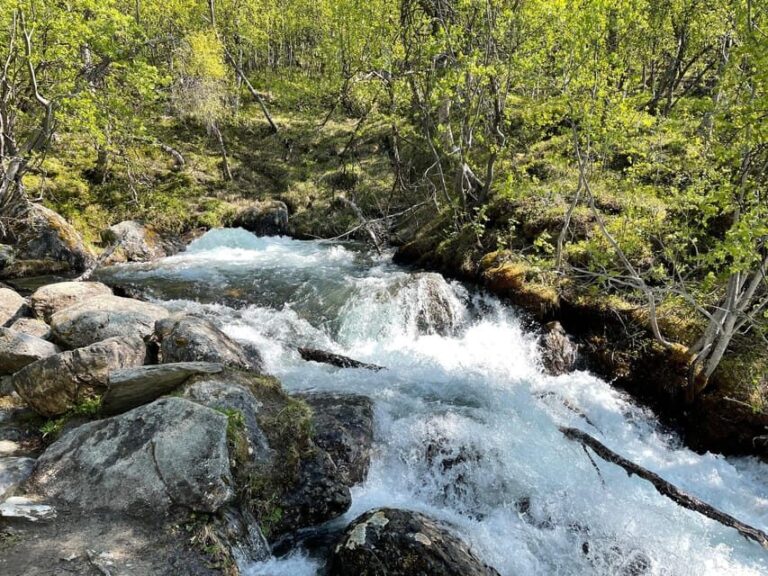 Visit Bubbelen, river comes out of the ground. - The Easy, Family-Friendly Walk