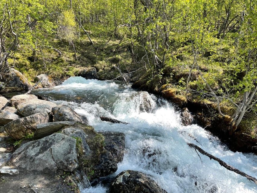 Visit Bubbelen, river comes out of the ground. - The Easy, Family-Friendly Walk