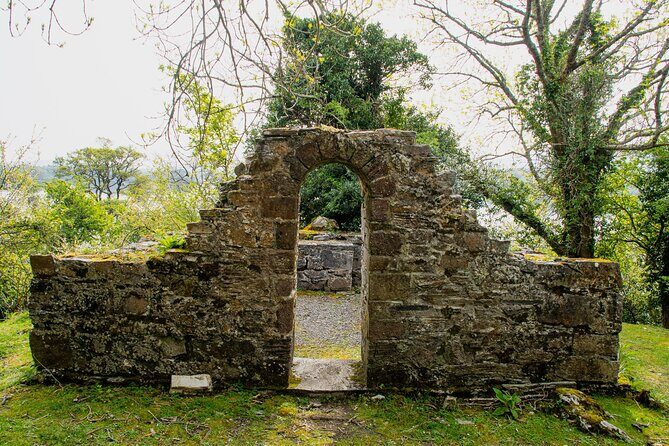 Visit Innisfallen Island - Authenticity, Value, and Practical Tips