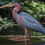 Visit the Everglades in French with Transfer and 1h30 Airboat - The Itinerary in Detail: What Makes Each Stop Special