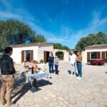 Visit the Finca and olive grove, extra virgin olive oil tasting and snack - Price and Value Considerations