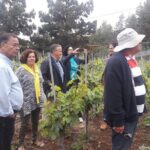 Visit to Arafo Mountain Vineyard and Organic Wine Tasting - Why This Tour Is a Good Investment
