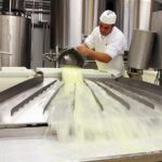 Visit to the dairy - Who Will Love This Experience?
