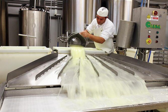 Visit to the dairy - Who Will Love This Experience?