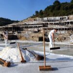 Vitoria, Añana Salt Valley and Bizkaia Bridge from Bilbao - Who Should Book This Tour?