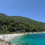 Vlore: Sazan Island, Haxhi Ali Cave & Karaburun by Speedboat - Sazan Island: History and Nature