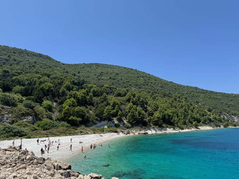 Vlore: Sazan Island, Haxhi Ali Cave & Karaburun by Speedboat - Sazan Island: History and Nature