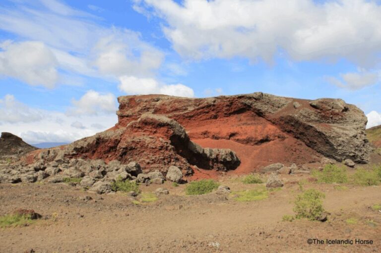 Volcanic Landscape Iceland Horse Riding Tours - Practical Details