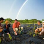 Volcano, Chocolate and Waterfalls of the Big Island - The Iconic Rainbow Falls