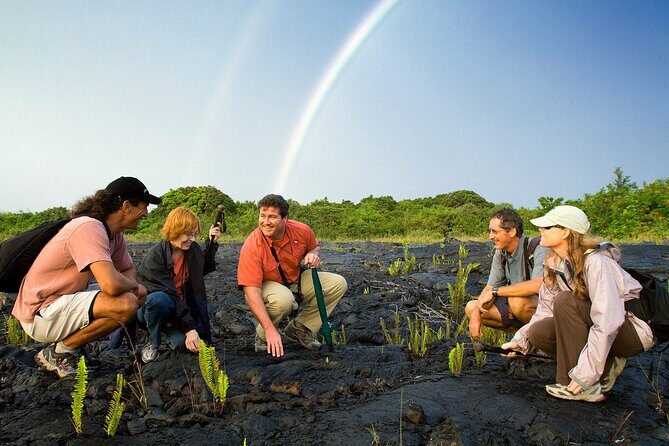 Volcano, Chocolate and Waterfalls of the Big Island - The Iconic Rainbow Falls