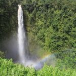 VOLCANO ISLAND - Rrecorrido in Spanish - Price, Value, and Practical Considerations