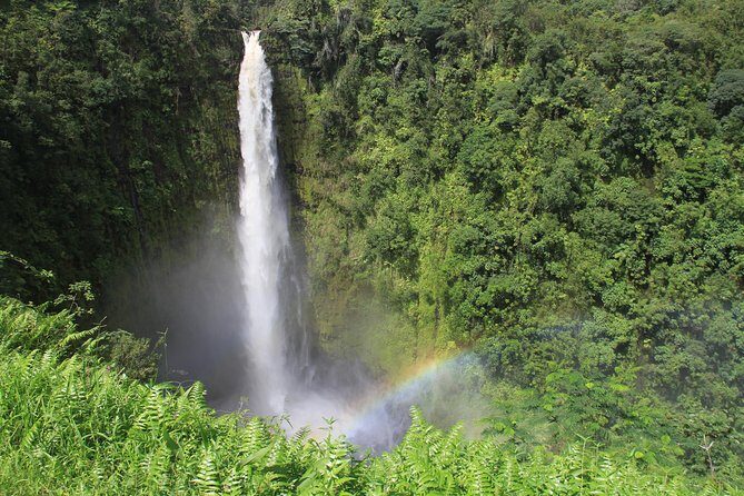 VOLCANO ISLAND - Rrecorrido in Spanish - Price, Value, and Practical Considerations
