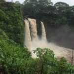 Volcanoes National Park Adventure Tour - Hilo Shore Excursion - The Drawbacks and Considerations