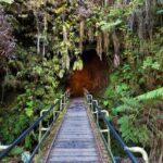 Volcanoes National Park: Guided, Small-Group Hike - Who Will Enjoy This Tour Most?