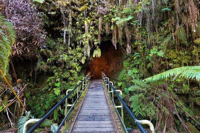 Volcanoes National Park: Guided, Small-Group Hike - Who Will Enjoy This Tour Most?