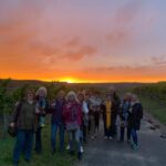 Volkach/Fahr: Wine Spirit Rebellion wine hike - A Closer Look at Practicalities