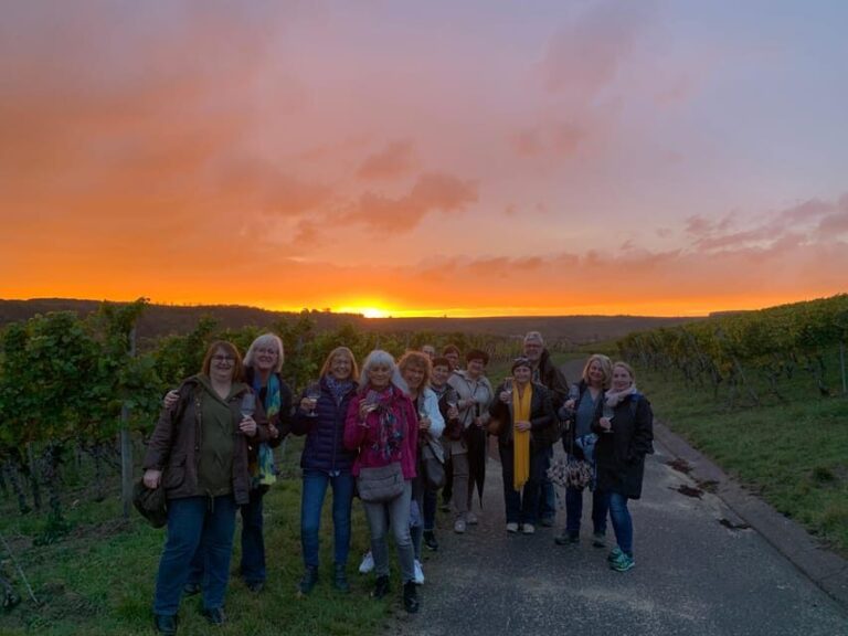 Volkach/Fahr: Wine Spirit Rebellion wine hike - A Closer Look at Practicalities