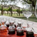 Voted Best in Sedona-Tastings Included! EXPRESS PRIVATE WINE TOUR - The Basics of the Sedona Private Wine Tour