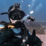 Waikiki 2 Tank World Class Wreck SCUBA Diving - Certified Only - Authentic Marine Encounters & Highlights