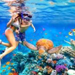 Waikiki Catamaran Escape: Snorkel with Turtles & Water Sports Fun - Wildlife and Marine Encounters