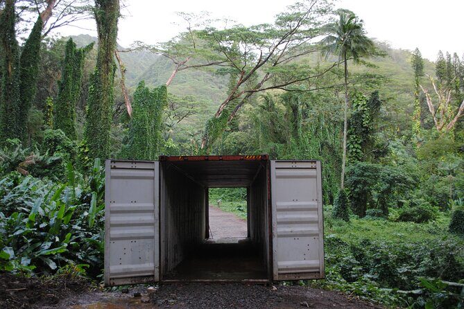 Waikiki Electric Bike Self Guided Tour- Manoa Falls Bike and Hike - The Full Experience: A Deep Dive into the Tour