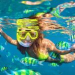 Waikiki Green Sea Turtle Snorkeling Tour - Boat Excursion - Authentic Insights from the Reviews
