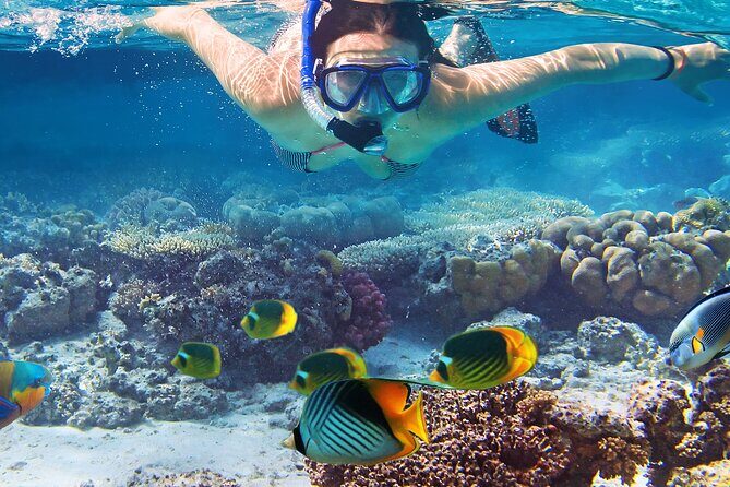 Waikiki Sail and Snorkel Adventure Best of Hawaii - What Makes This Tour Stand Out