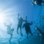 Waikiki: Snorkel Tour with Hawaiian Green Sea Turtles - What Travelers Are Saying
