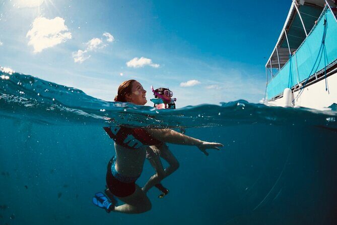 Waikiki Snorkel Tour - The Value for Your Money