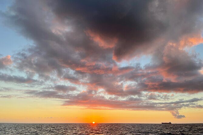 Waikiki Sunset Boat Cruise - Marine Life and Seasonal Highlights