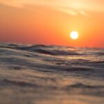 Waikiki Sunset Cocktail Cruise - Hilton Hawaiian Village - Authentic Experiences and Feedback