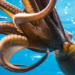 Waikiki: Sunset Snorkeling Adventure - Who Is This Tour Best For?